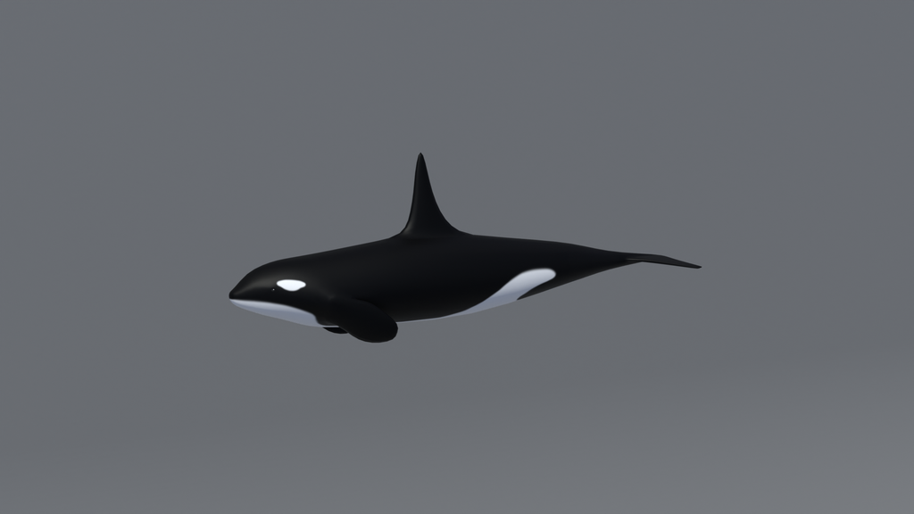 Cartoon Orca Killer Whale | Mammals models | BlenderKit