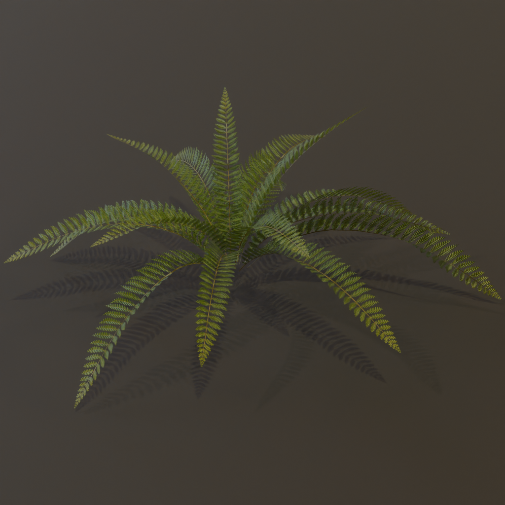 Wild Fern Small Var | Outdoor Plants models | BlenderKit
