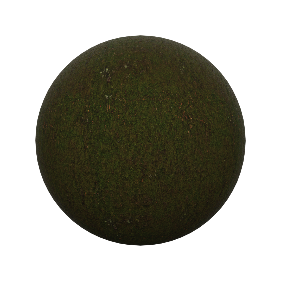 Forest moss | FREE ground materials | BlenderKit