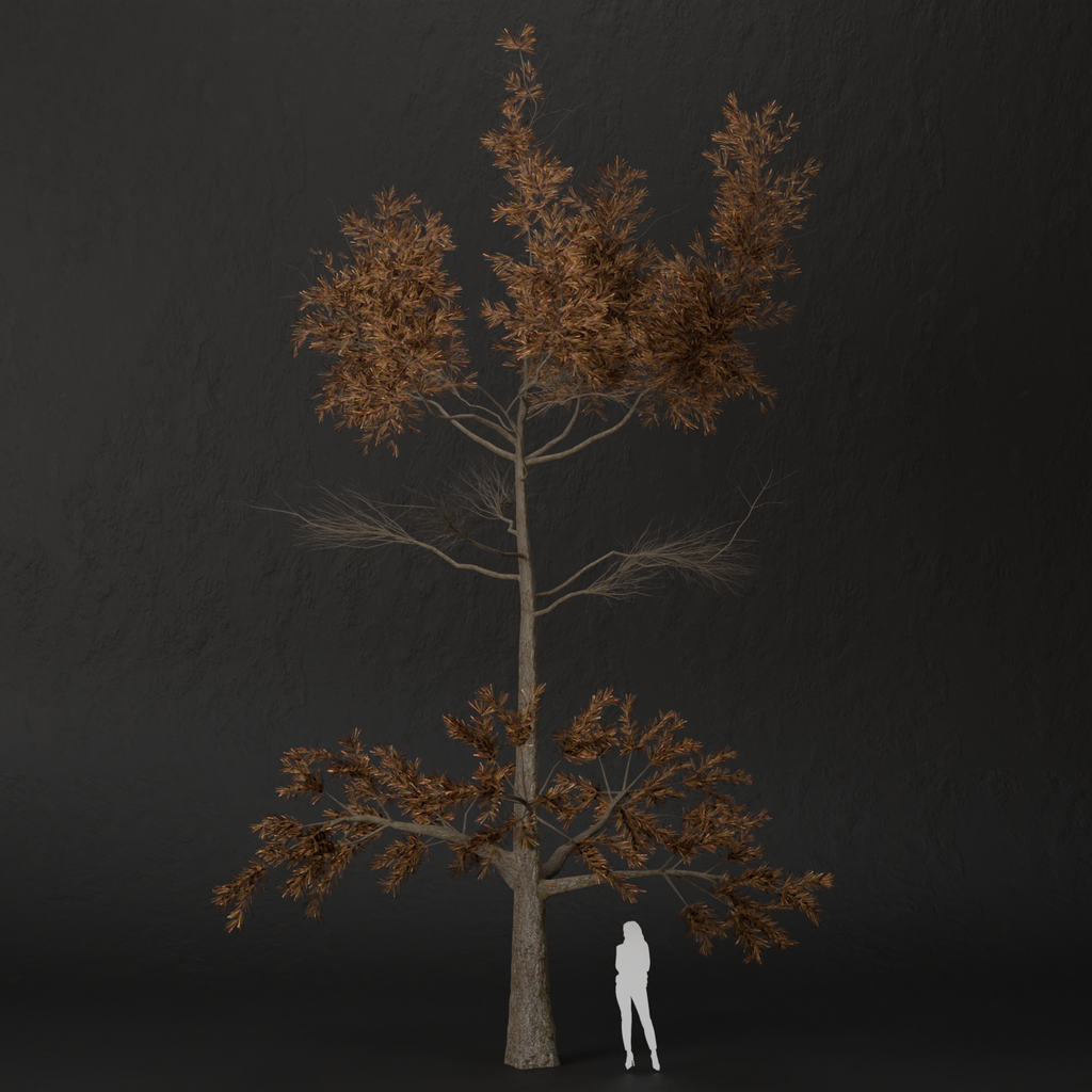 SJ-Winter Twilight Pine Tree | Trees models | BlenderKit
