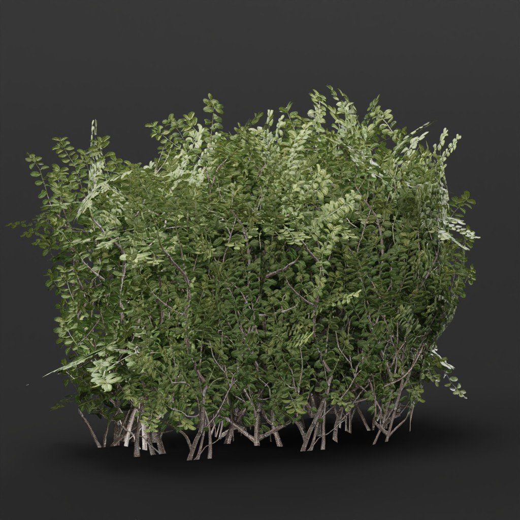 Boxwood Hedge End Variation | Outdoor Plants models | BlenderKit
