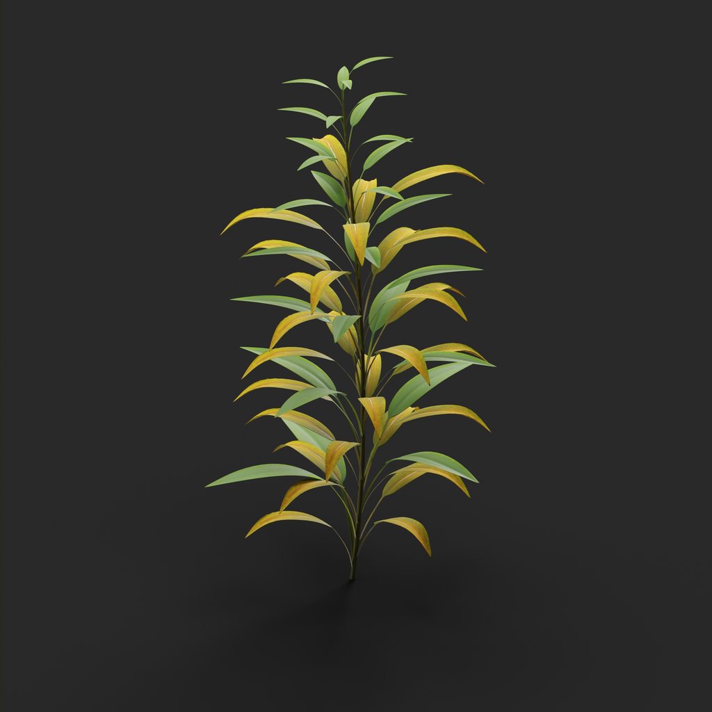 Random Plant 01 | FREE Outdoor Plants models | BlenderKit