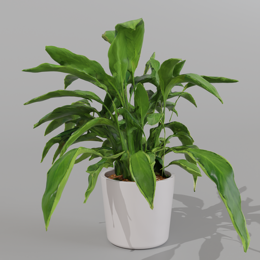 Plant pot | FREE Indoor Plants models | BlenderKit