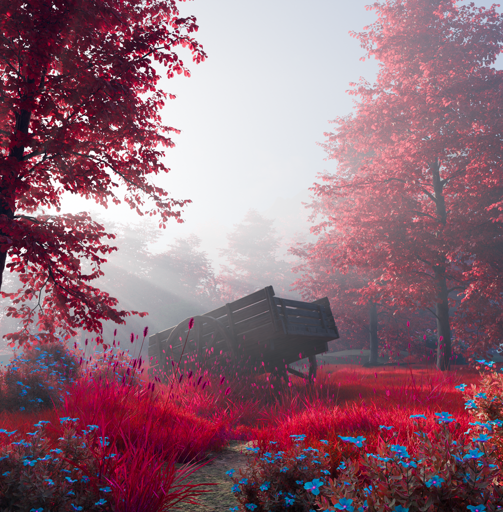 Forest field | Nature scenes | BlenderKit