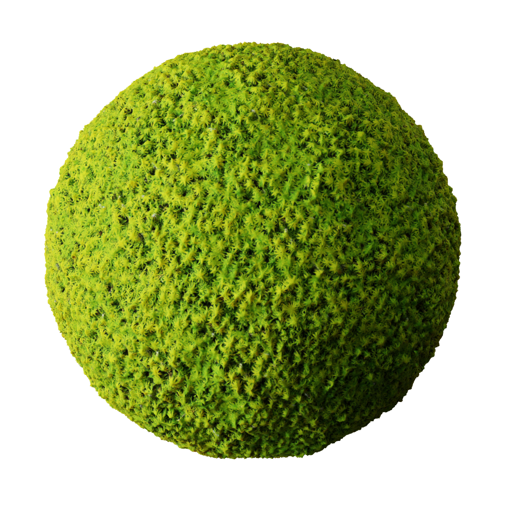 Moss | FREE organic materials | BlenderKit