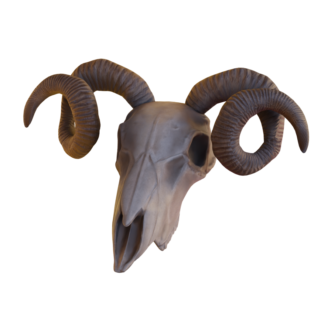 Low poly stylised goat scull | FREE Miscellaneous models | BlenderKit