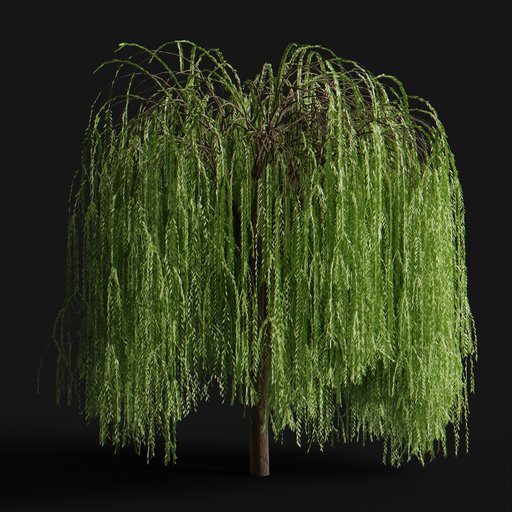 Willow tree | Trees models | BlenderKit