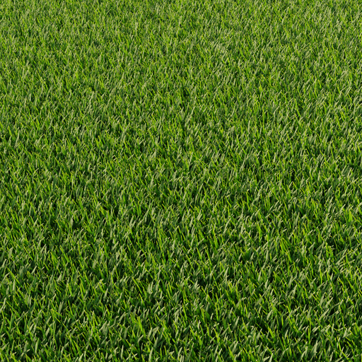 Grass (lawn) procedural | FREE Grass models | BlenderKit