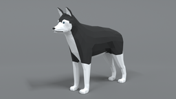 Low Poly Husky | Mammals models | BlenderKit