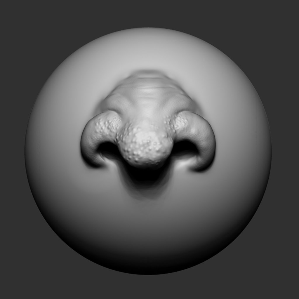 NS Creature Nose pimple | Face / Head brushes | BlenderKit