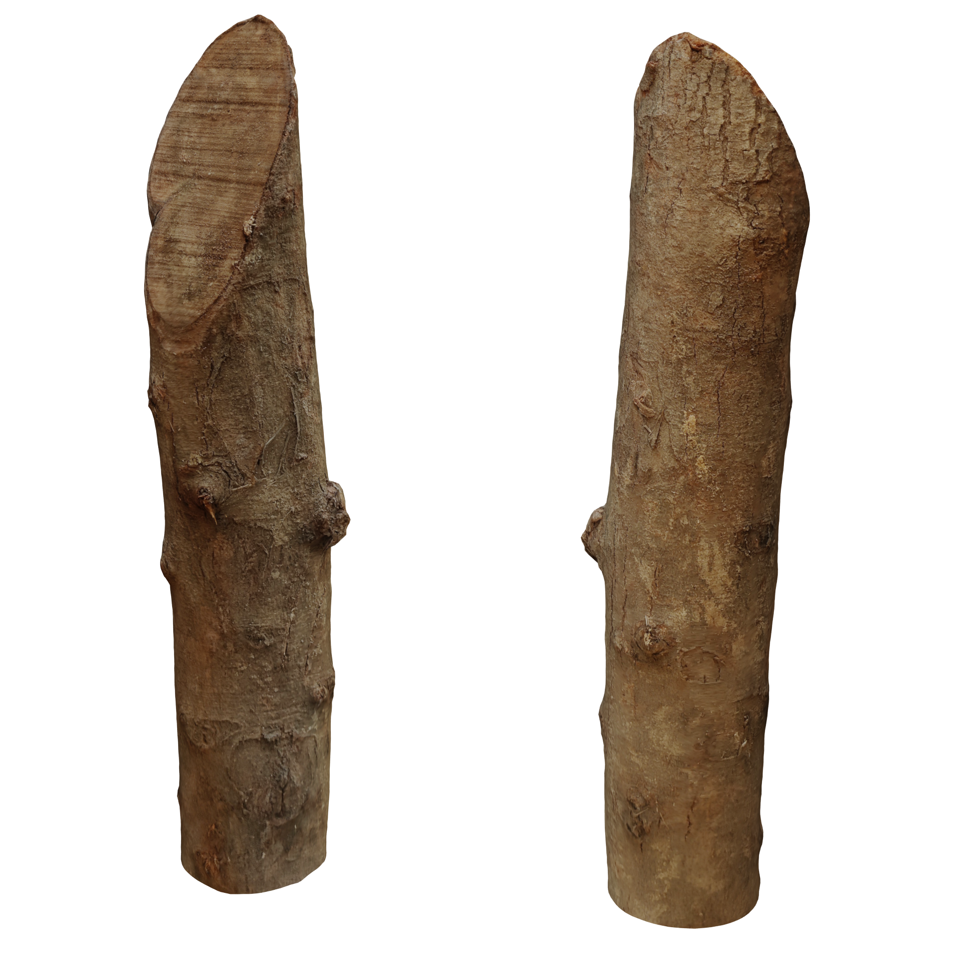 Log | FREE Trees models | BlenderKit