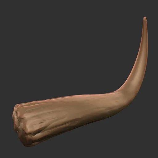 Short Curve Horn | Monsters & Creatures models | BlenderKit