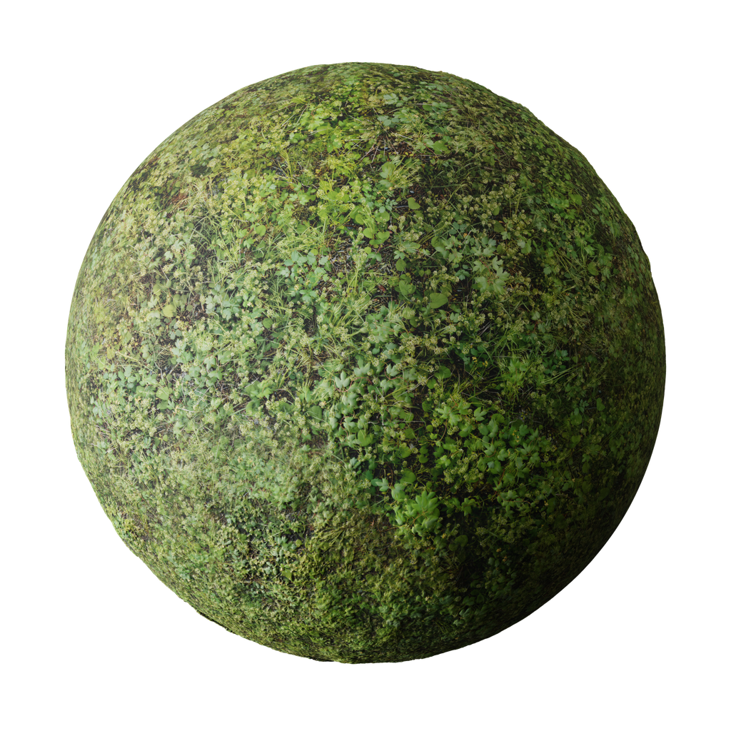 Grass Clovers | FREE grass materials | BlenderKit