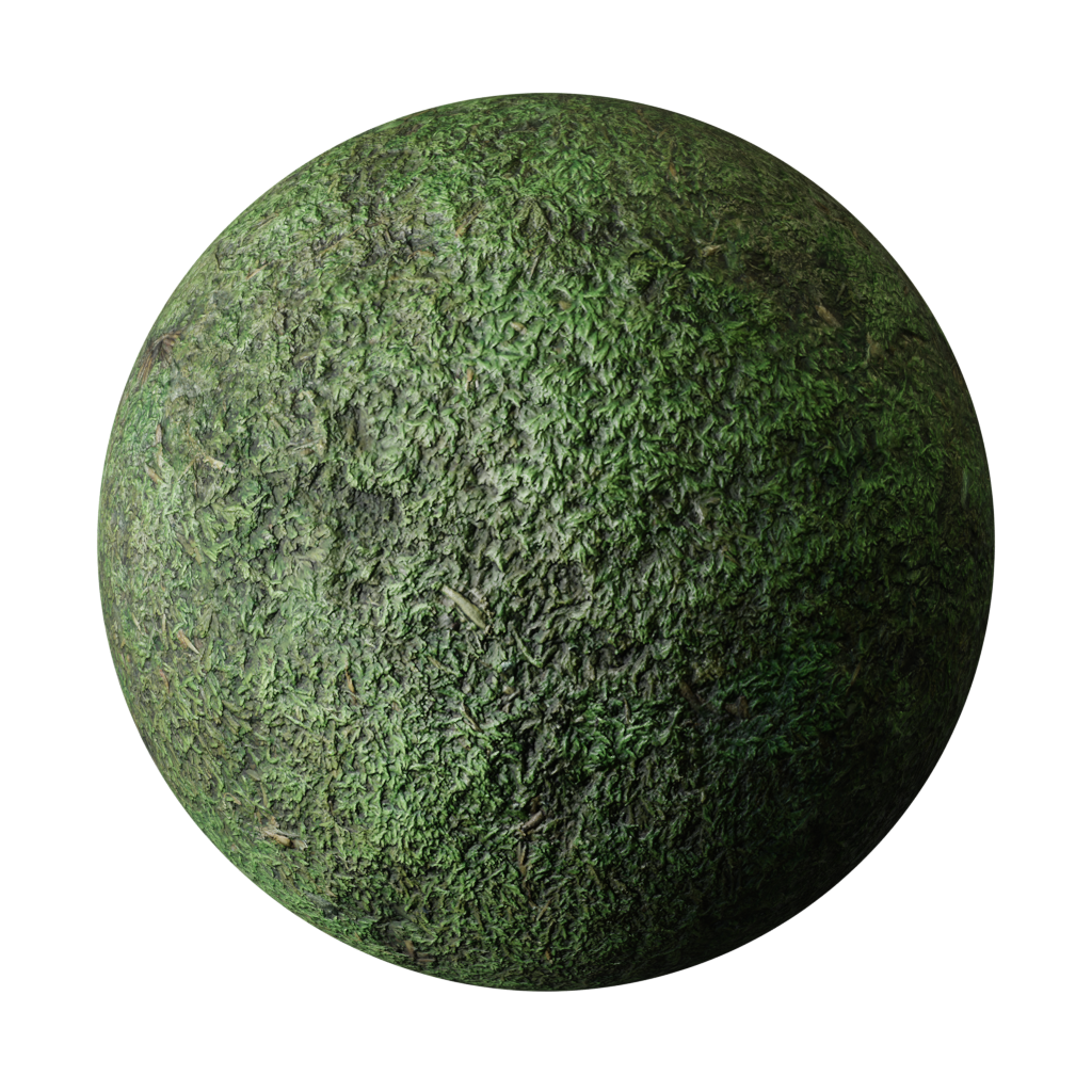 BlenderKit | Download the FREE Moss material