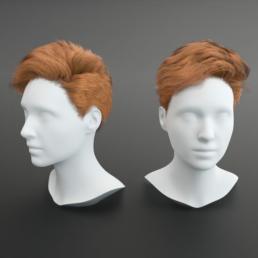 Hair | Human Heads models | BlenderKit