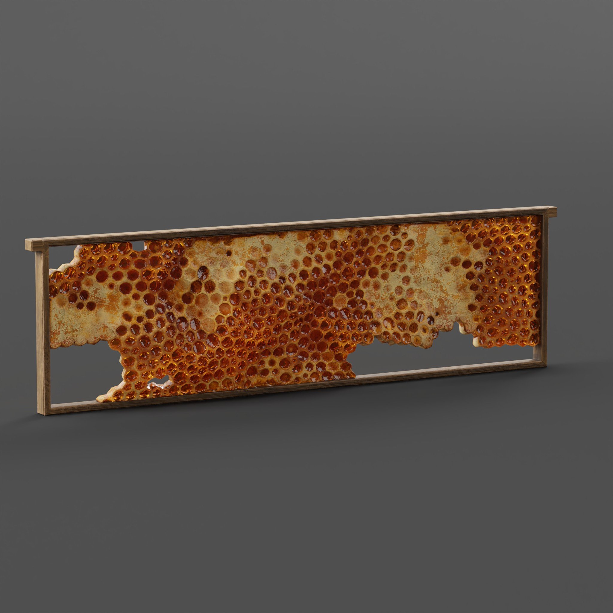 Honeycomb Frame | Nature models | BlenderKit