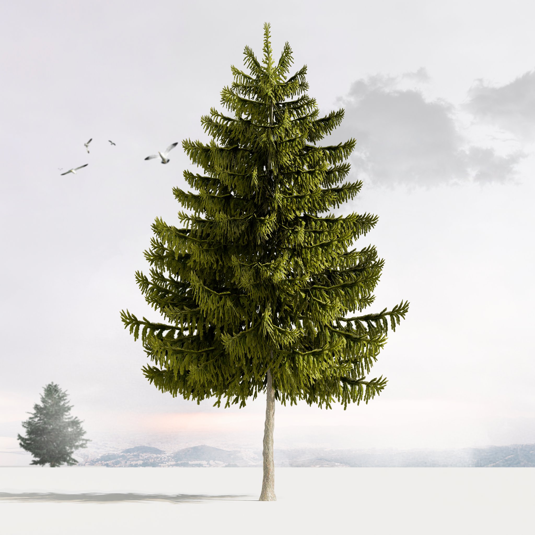 Dark Green Spruce Stylized Tree | Trees models | BlenderKit