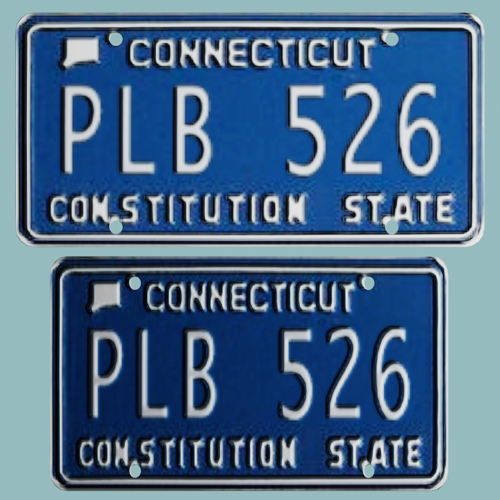 Connecticut Licence plate PL | FREE Vehicle Parts models | BlenderKit