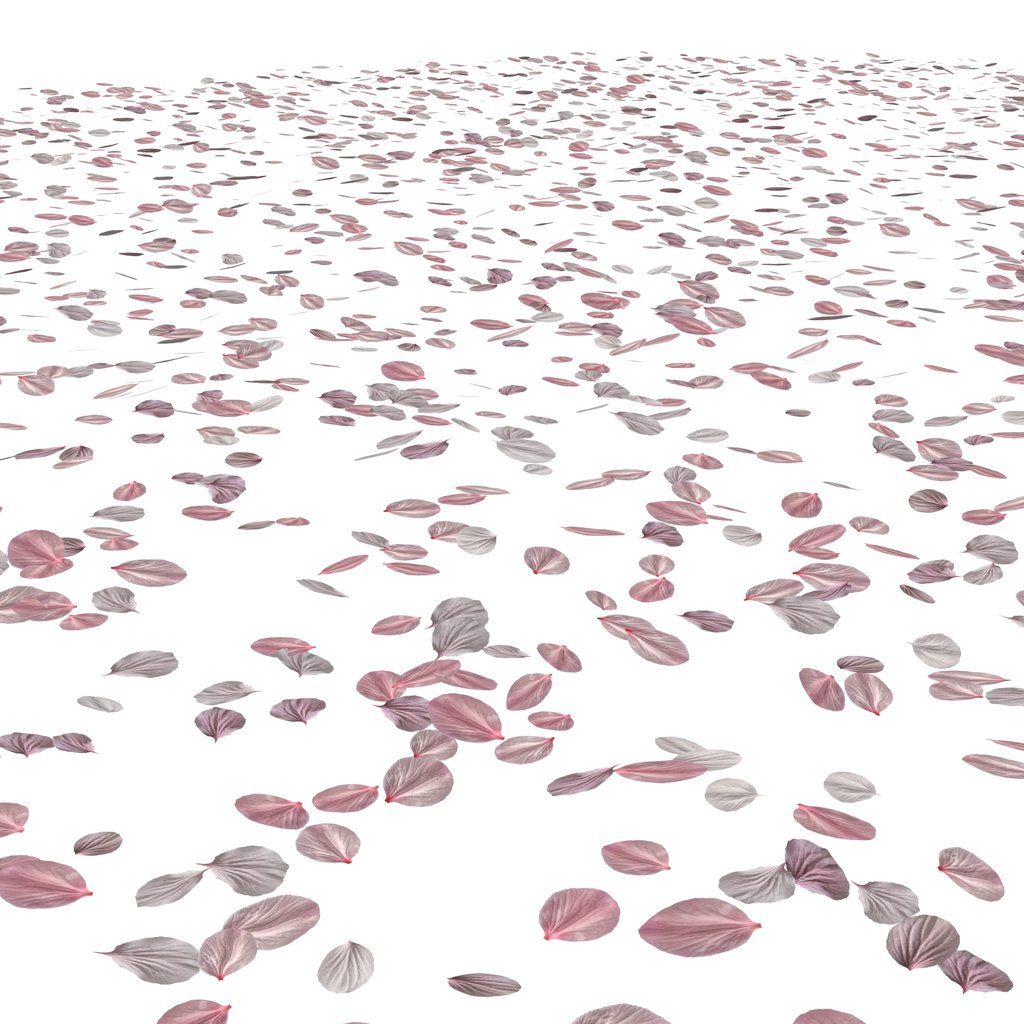 Ground Cherry blossom petals | Nature models | BlenderKit