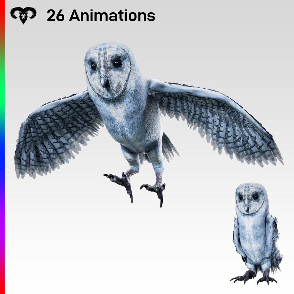 Male Owl Bird Animated | Birds models | BlenderKit