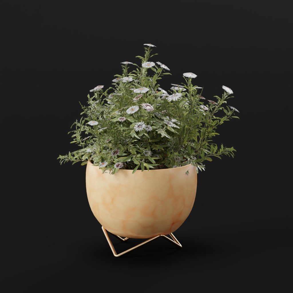 Flower Aster Potted Small | Indoor Plants models | BlenderKit