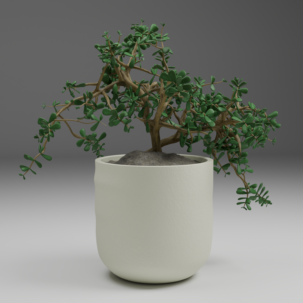 BlenderKit | Download the Jade Bonsai Pot model
