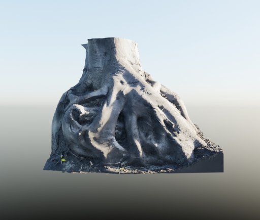 Tree roots scan | FREE Trees models | BlenderKit