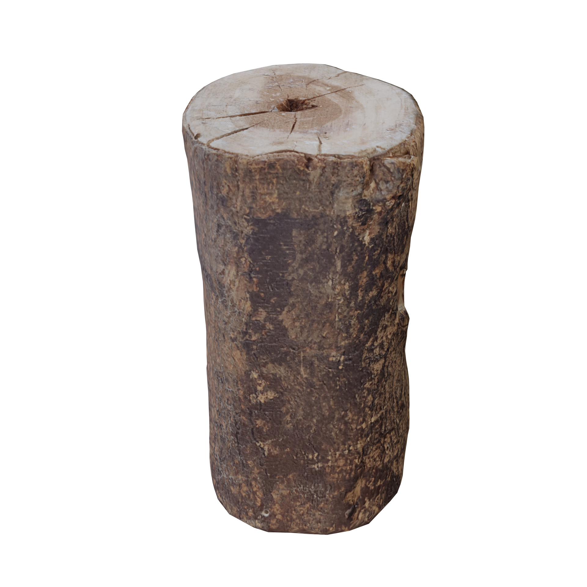 Realisitc log | 3D Tree models | BlenderKit