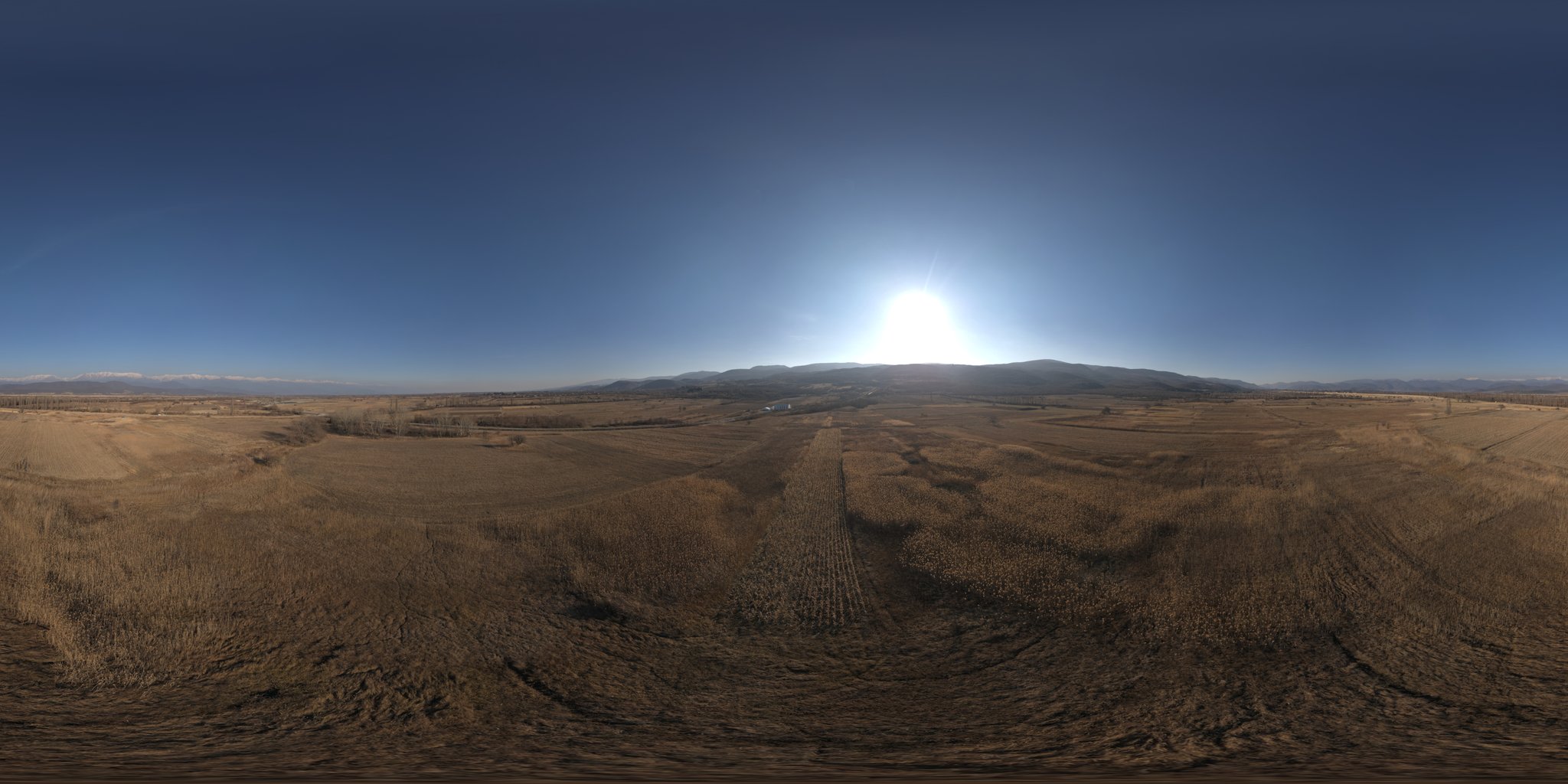 Golden Swamp Fields at Sunset | Landscapes HDRis | BlenderKit