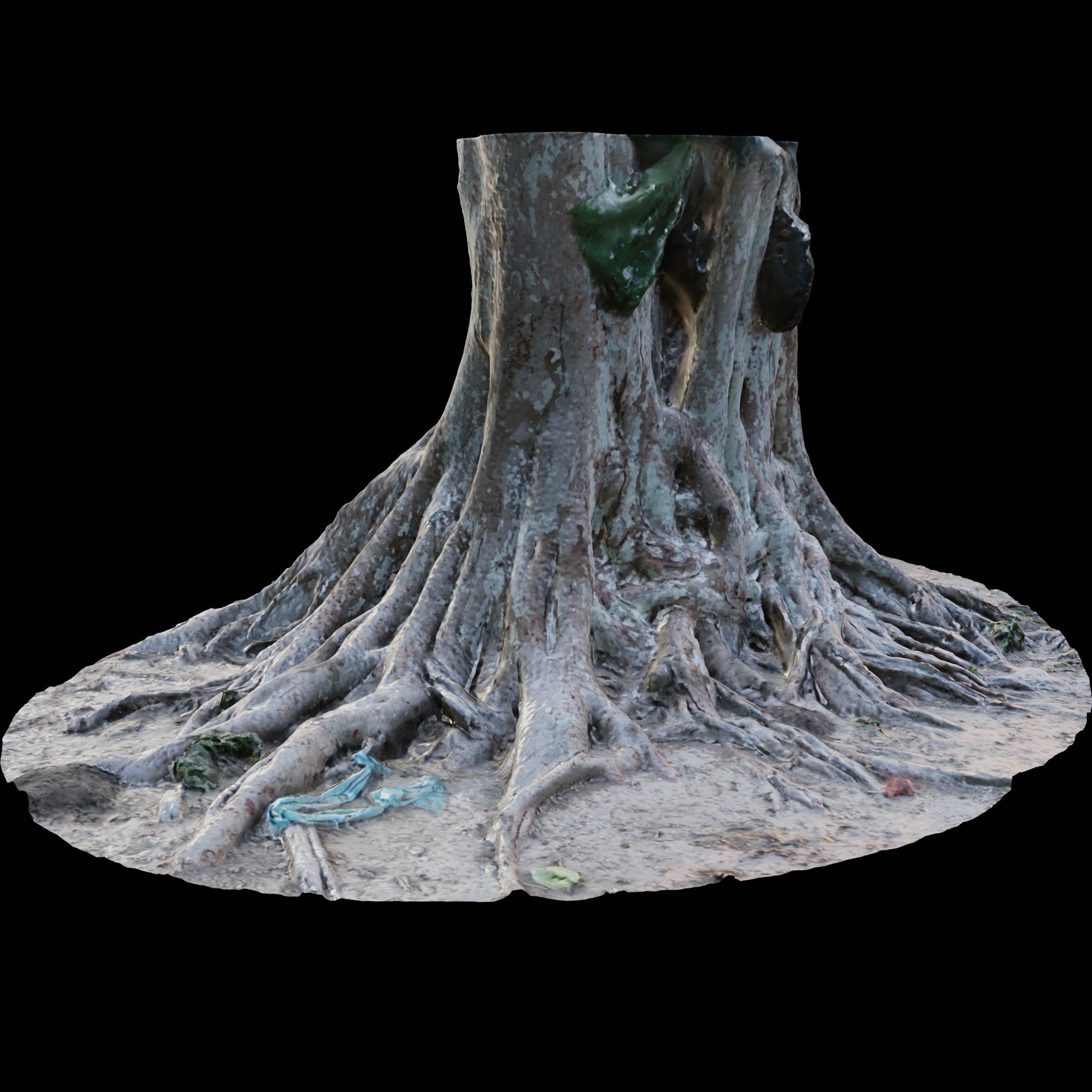 Big Tree Trunk | FREE Trees models | BlenderKit