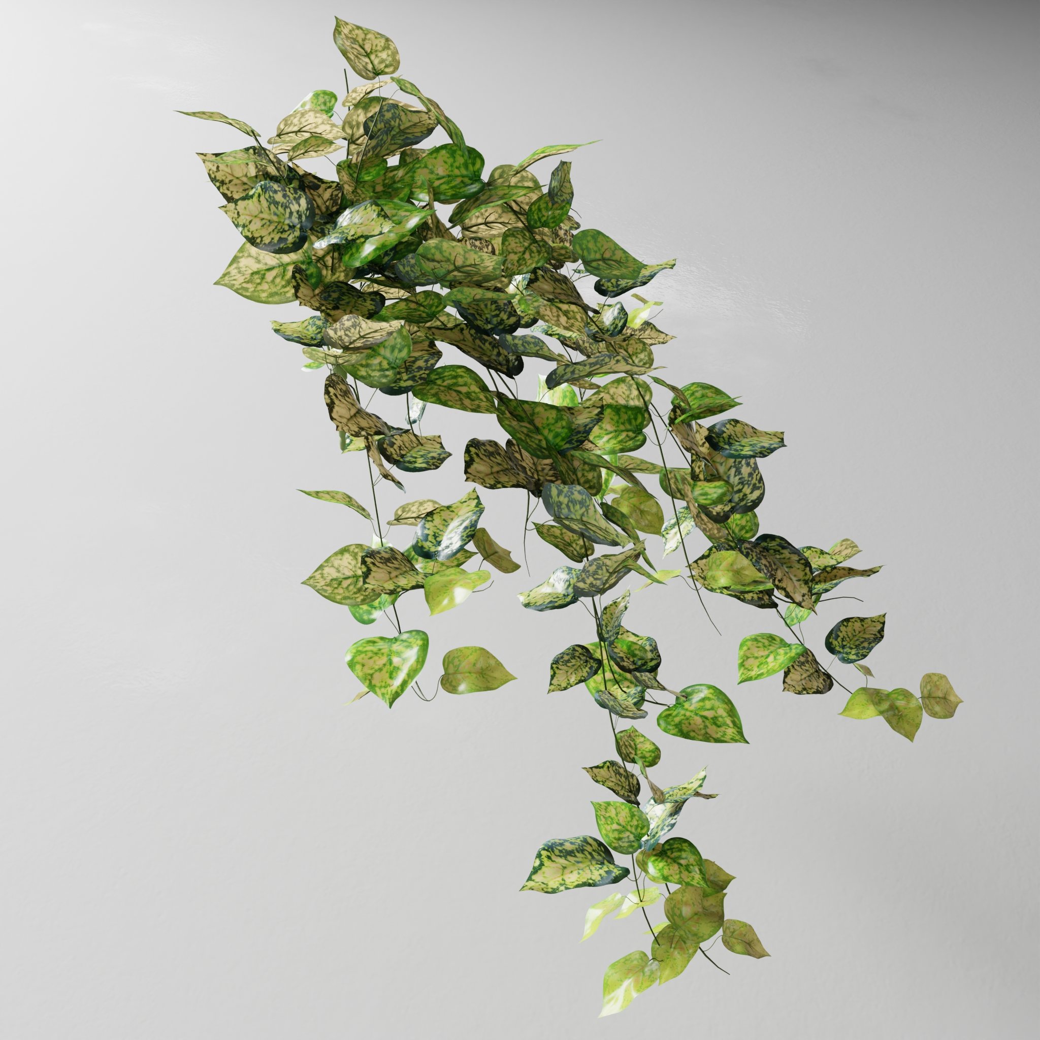 Artificial tendril Potosovec mottled v2 | Indoor Plants models | BlenderKit
