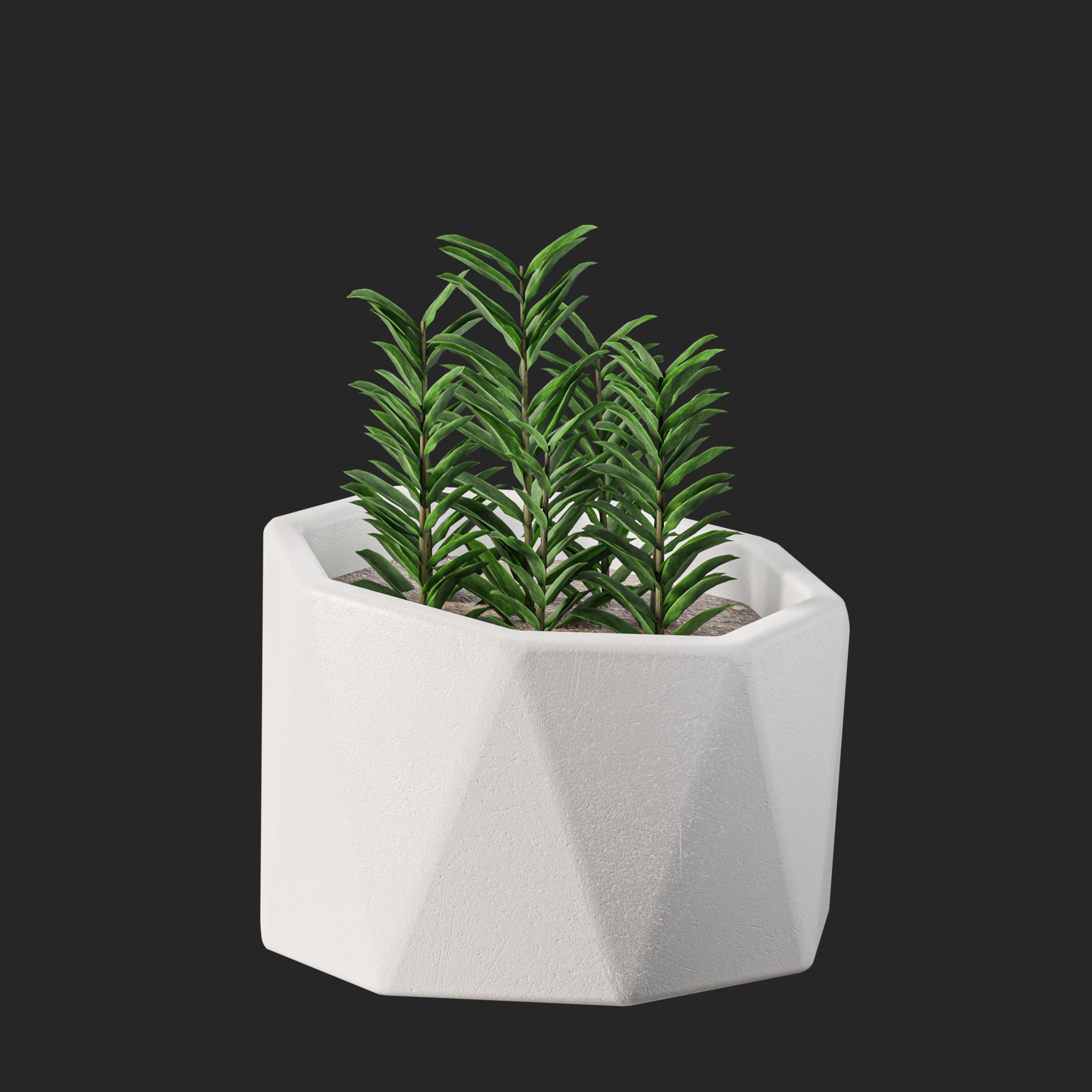 Plant | Indoor Plants models | BlenderKit