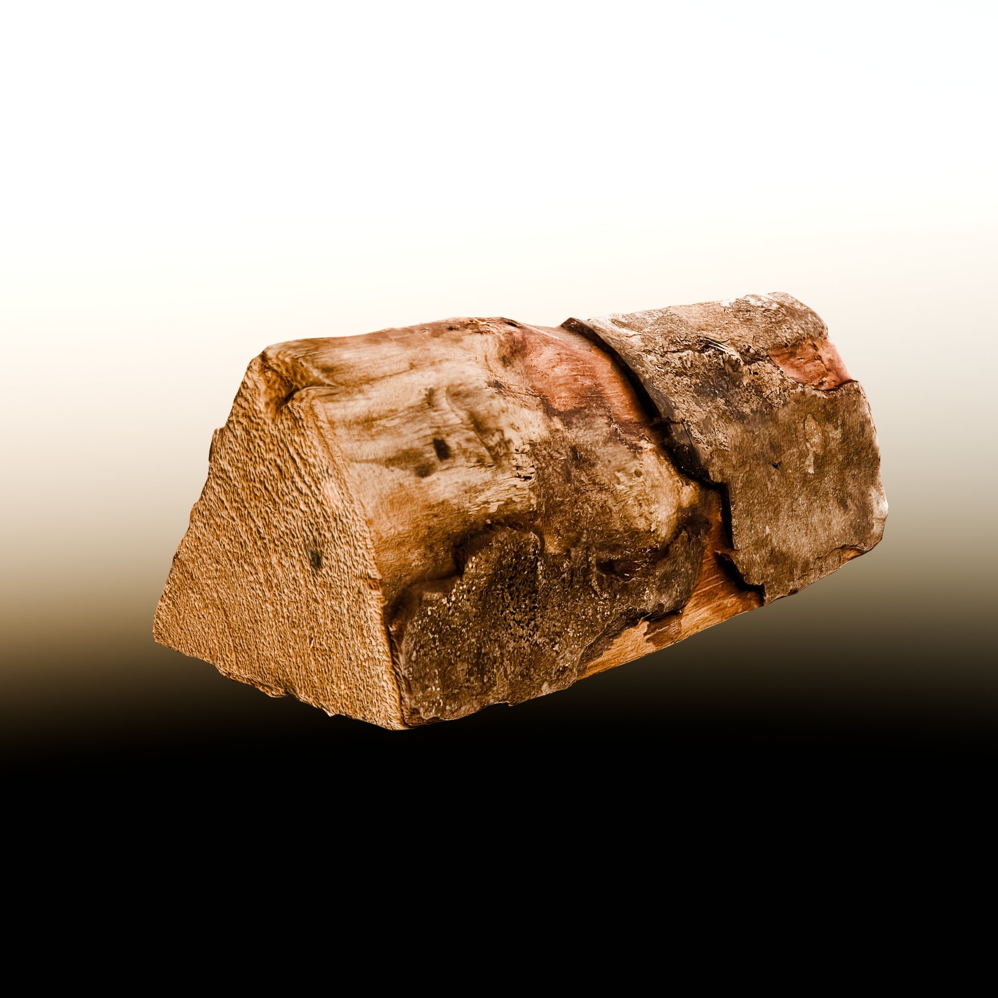 Single Wood Log | FREE Nature models | BlenderKit