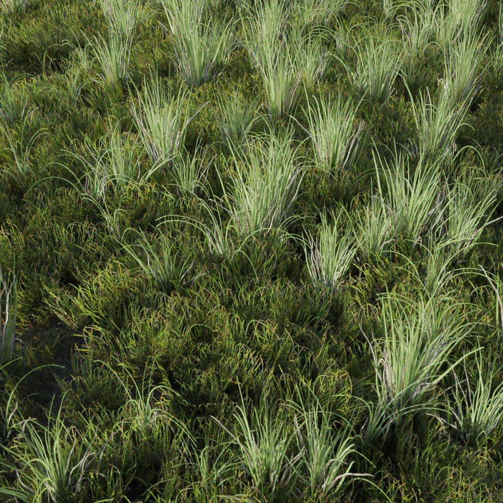 Grass Small Clumps | Grass models | BlenderKit