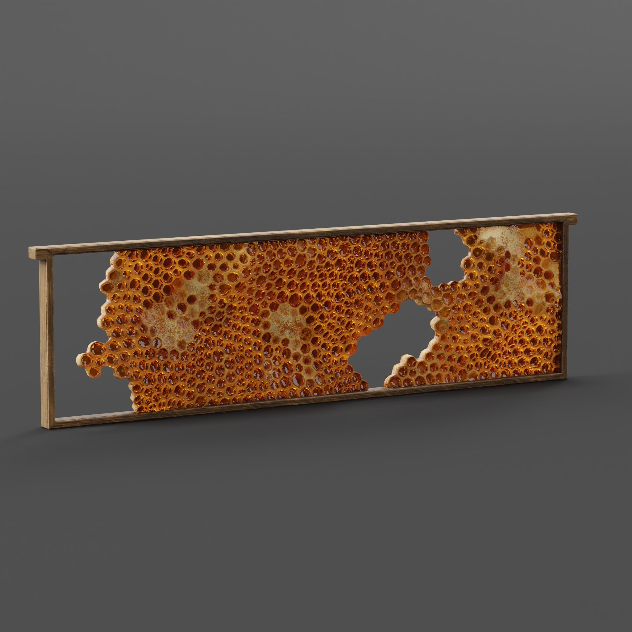 Honeycomb Frame | Nature models | BlenderKit