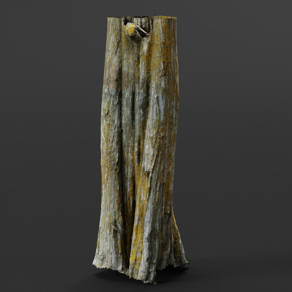 Cedar Tree Trunk 04 | FREE Trees models | BlenderKit