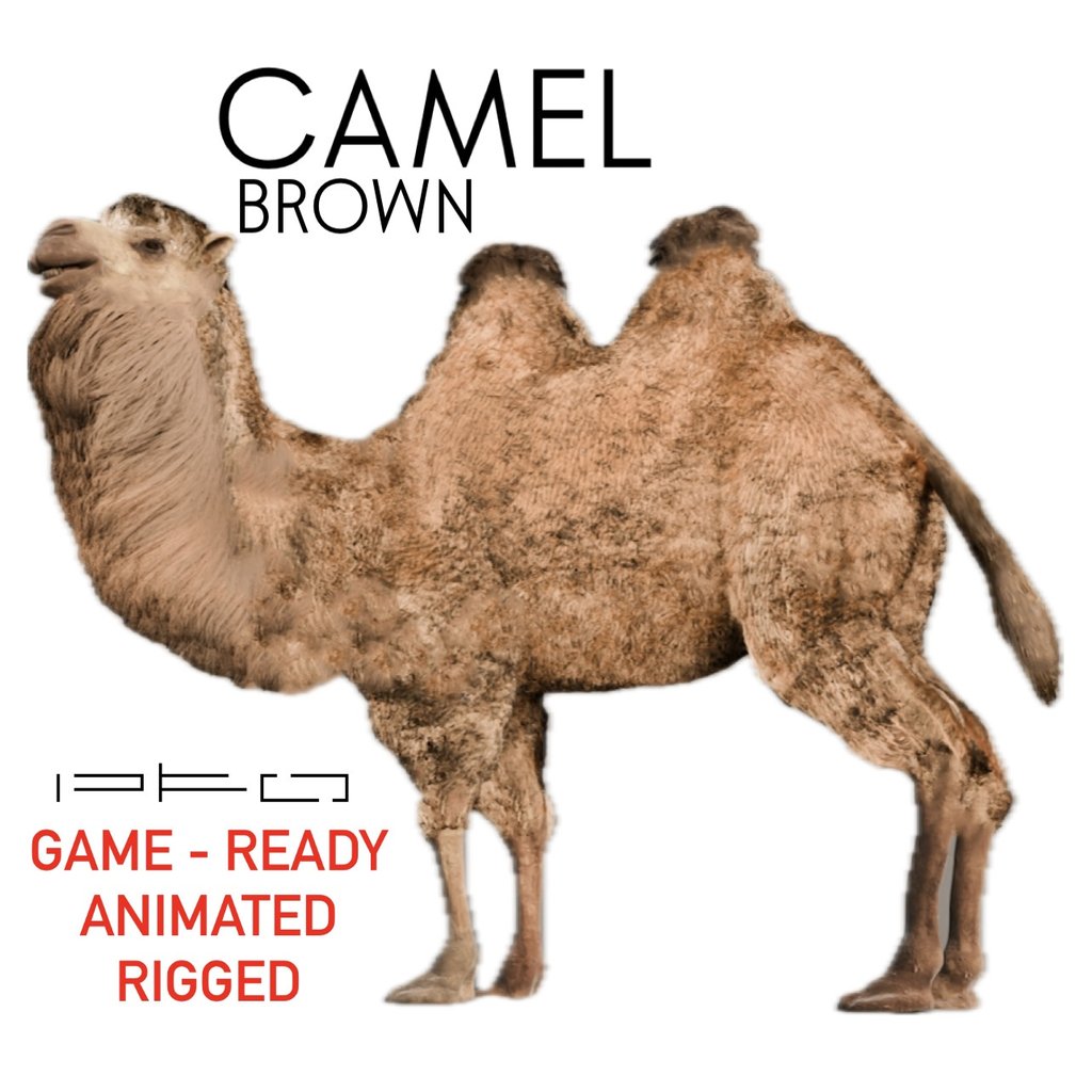 Brown Camel | Mammals models | BlenderKit
