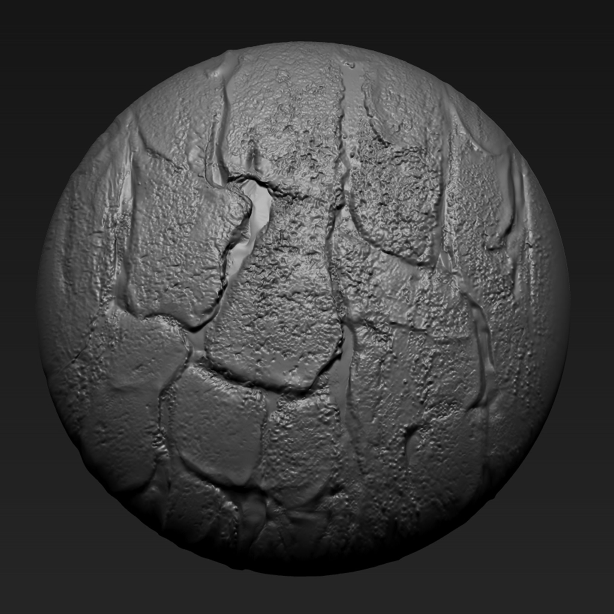 NS Tree surface bark birch | wood brushes | BlenderKit