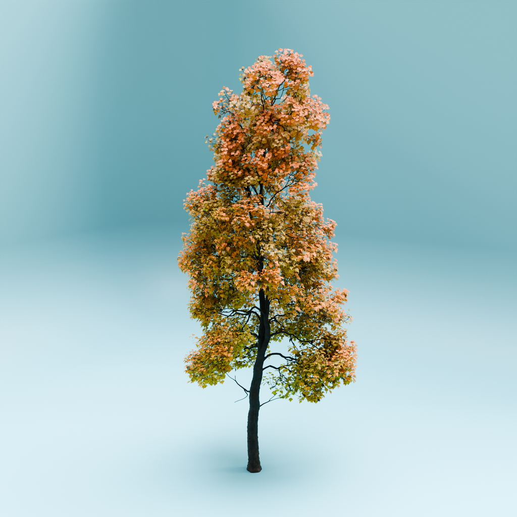 Tree variation in autumn 02 | FREE Trees models | BlenderKit