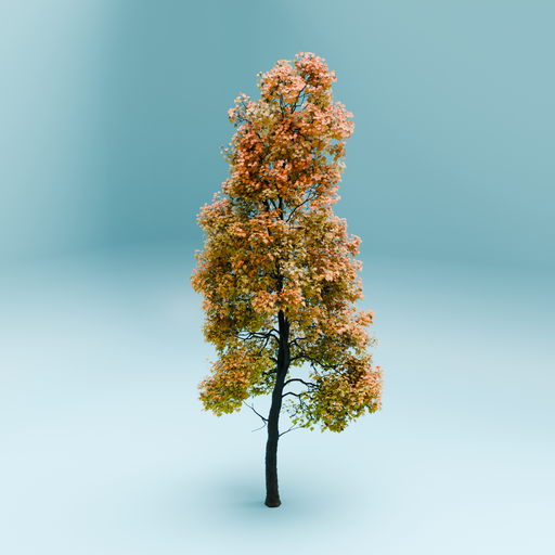 Tree variation in autumn 02 | FREE Trees models | BlenderKit