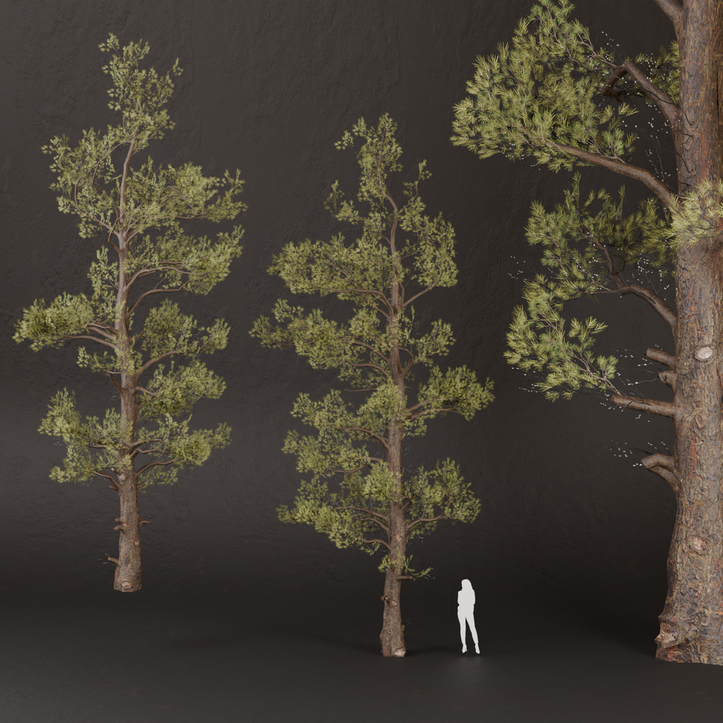 SJ-Twilight Pine Keeper | Trees models | BlenderKit