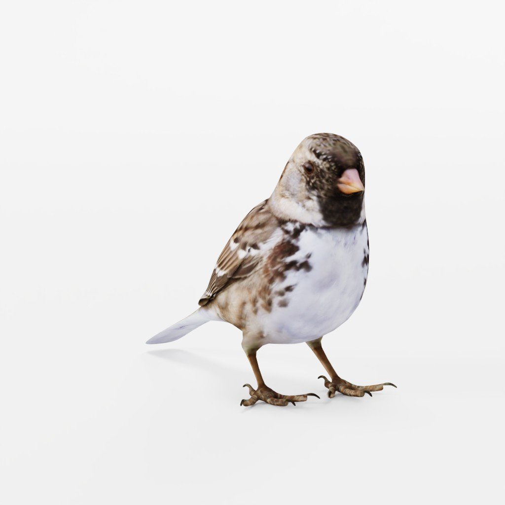 Sparrow | Birds models | BlenderKit