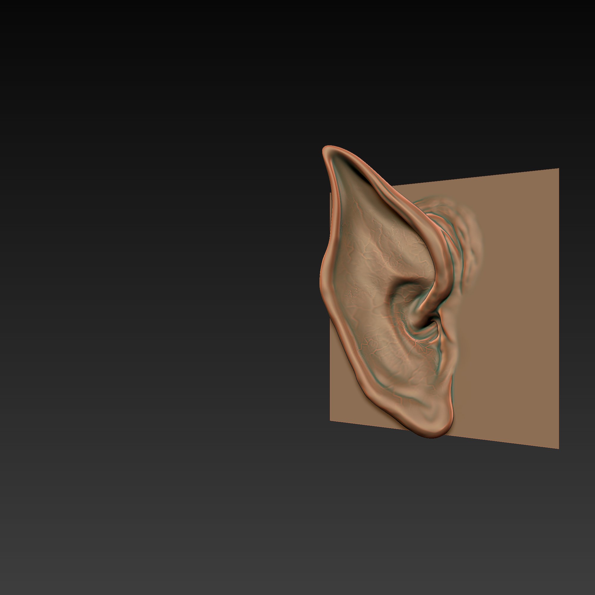 ER Ear Brush 26 | Face / Head brushes | BlenderKit