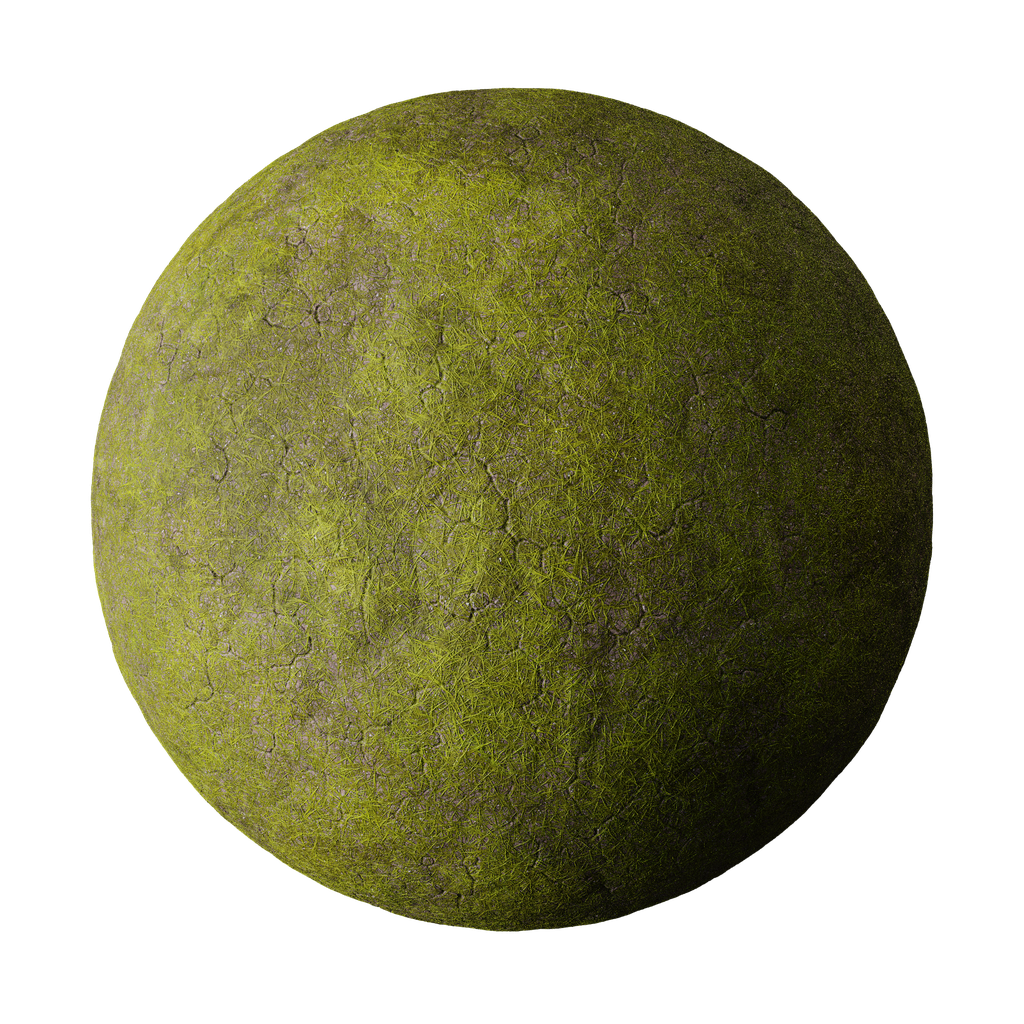 Ground with grass | FREE ground materials | BlenderKit