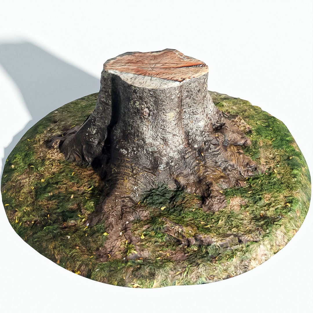 Tree Stump | Trees models | BlenderKit