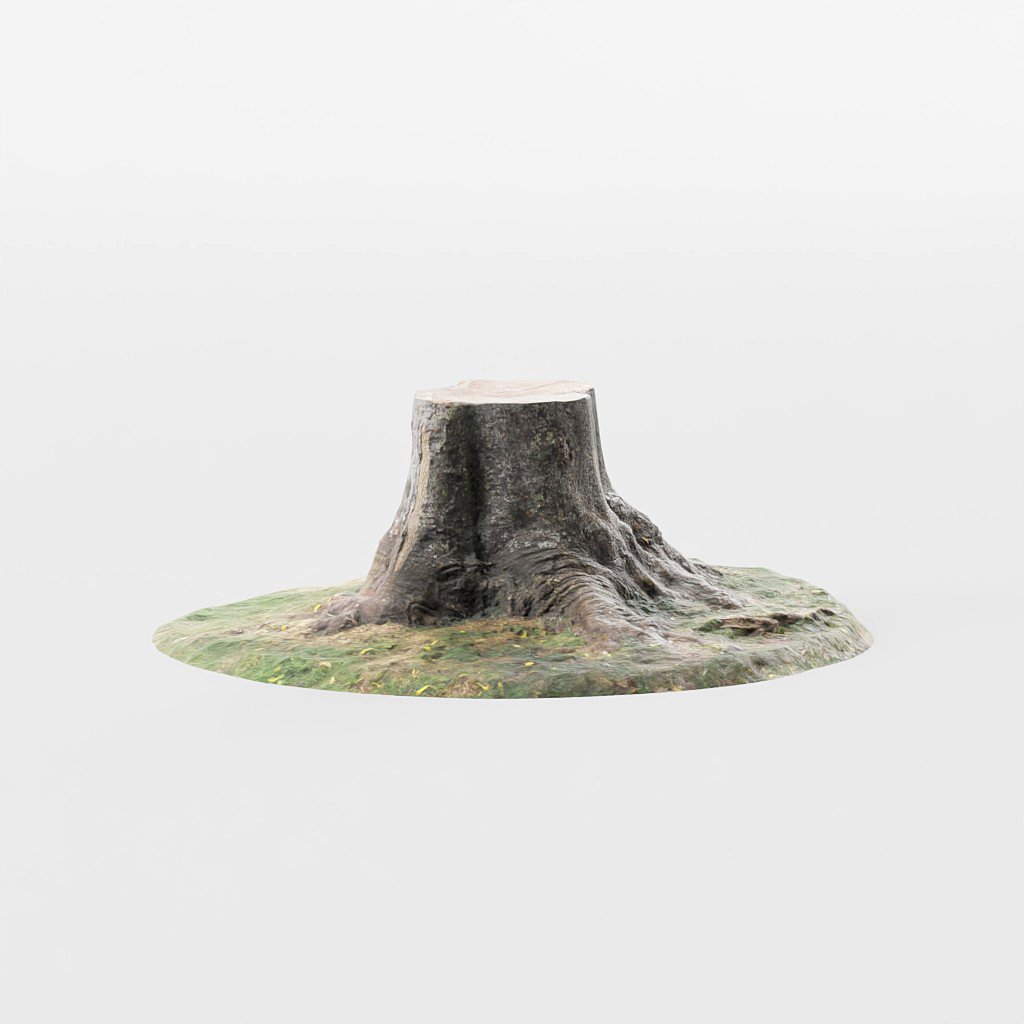 Tree Stump | 3D Tree models | BlenderKit