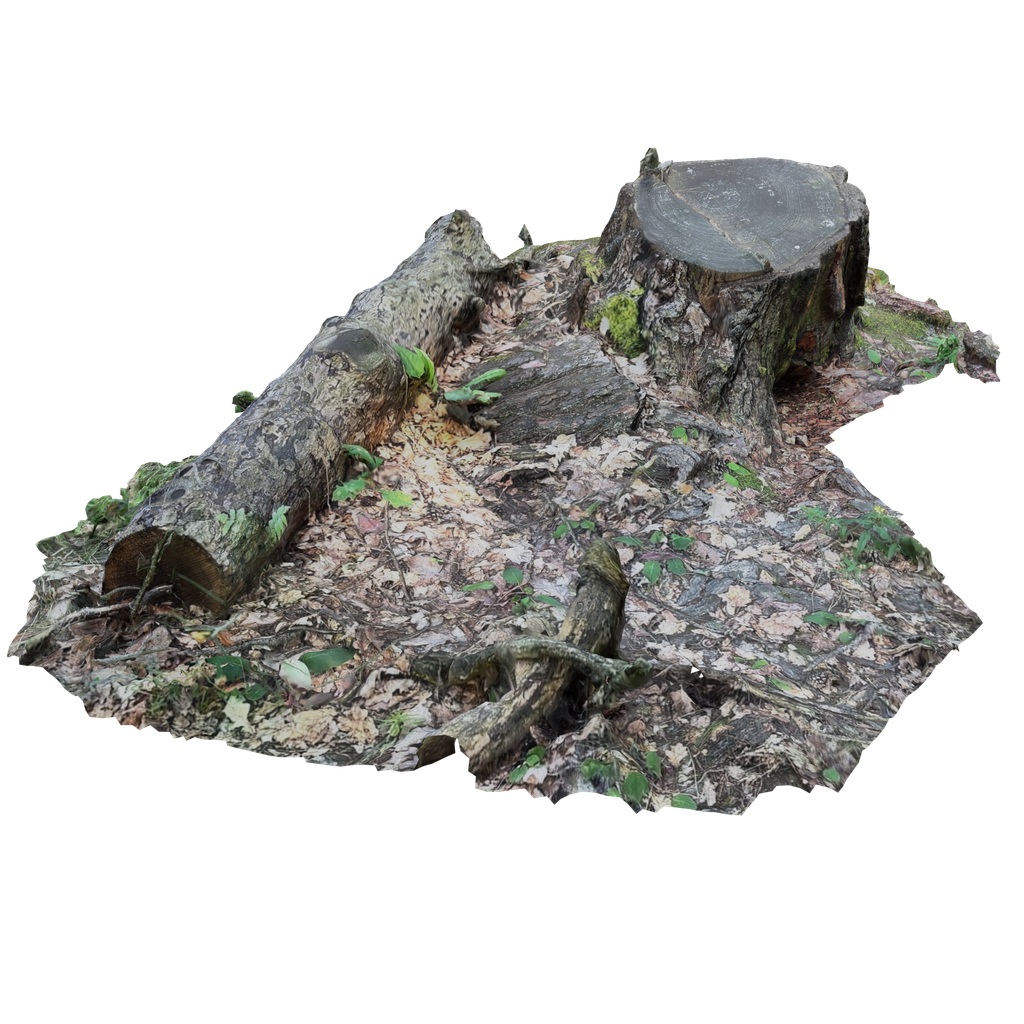 3D Scanned tree stump and fallen log | FREE Environment Elements models | BlenderKit