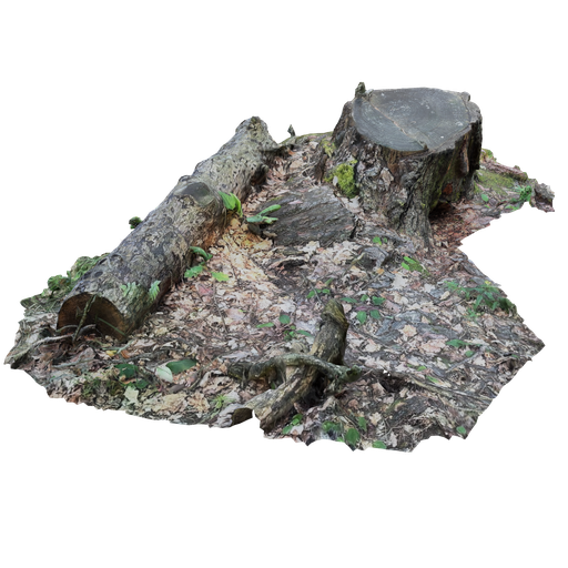 3D Scanned tree stump and fallen log | FREE Environment Elements models | BlenderKit