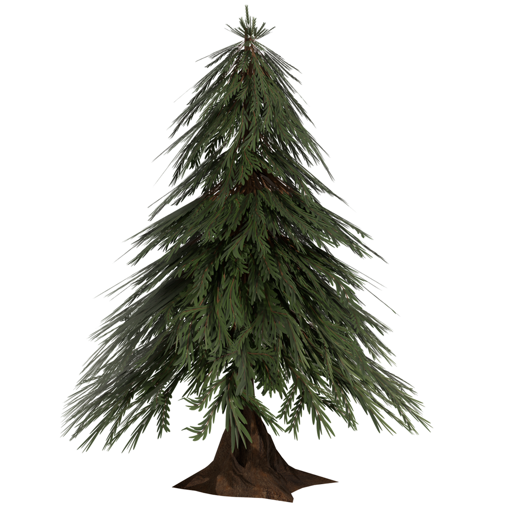 BlenderKit | Download the FREE Low Poly Pine Evergreen Tree model
