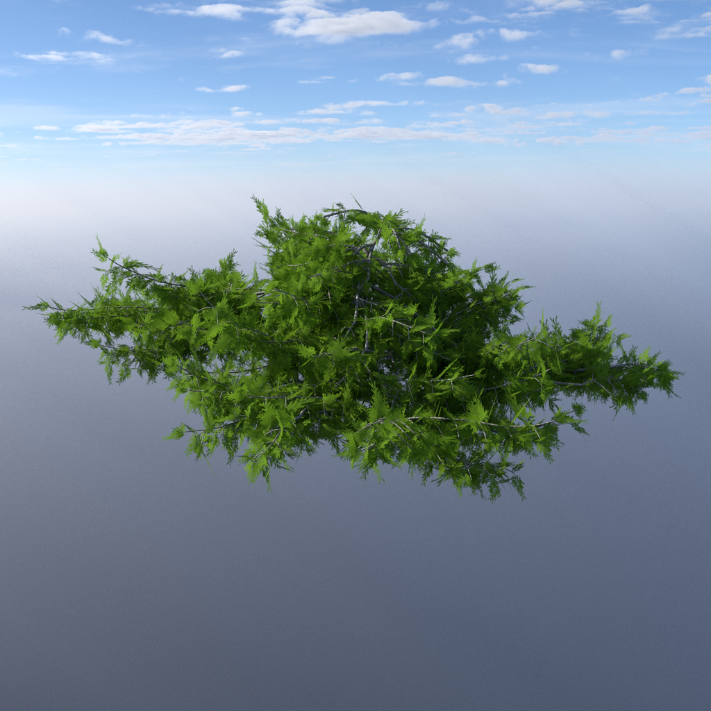 Wild Alpine Shrub Evergreen | Outdoor Plants models | BlenderKit